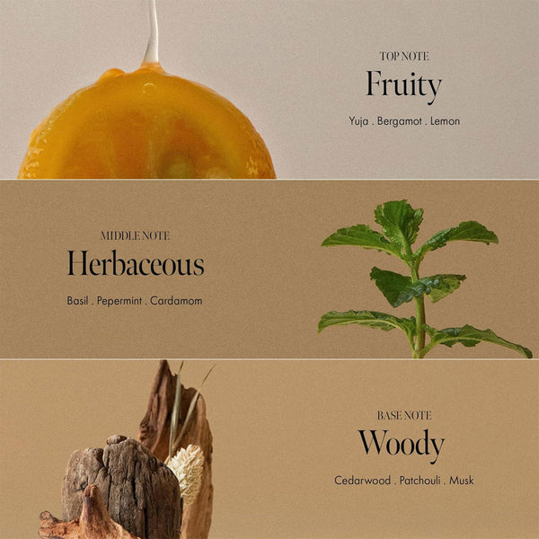 Anillo Amber528 Scented Hand & Body Wash - Nudie Glow Australia