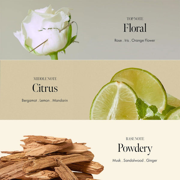 Anillo Rosy Night Repair Shampoo - Nudie Glow Australia